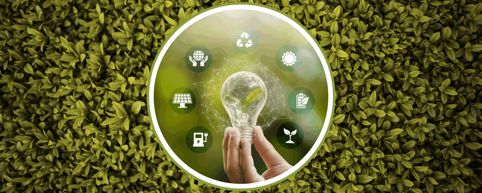 New SURF Technical Initiative – RESTORE Tool for Remediation Impact ...